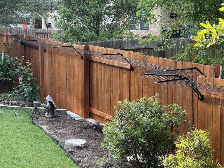 Cat Containment Systems: Keep Your Cat Safe | Build & Renovate